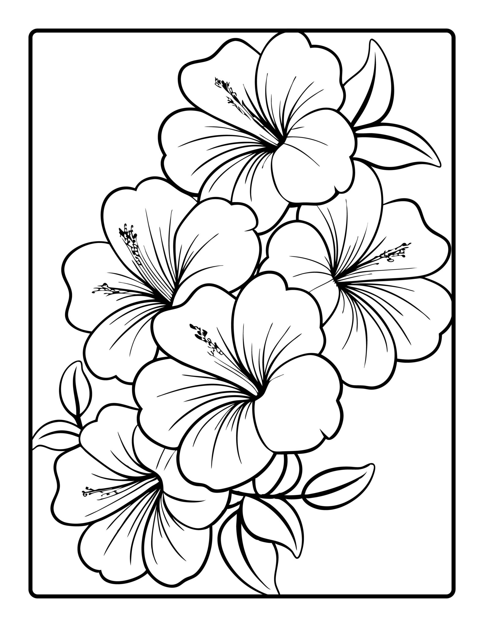 100 Free Flower Coloring Pages Printable for adults